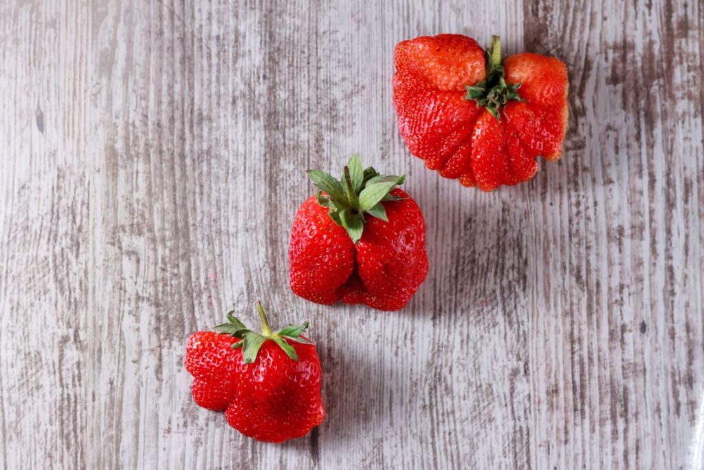Deformed Strawberries – Strawberry Plants