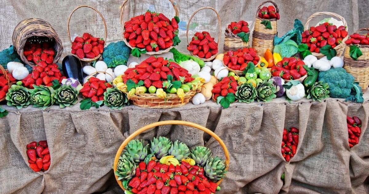 Strawberry Festivals (Huge Listing) – Strawberry Plants