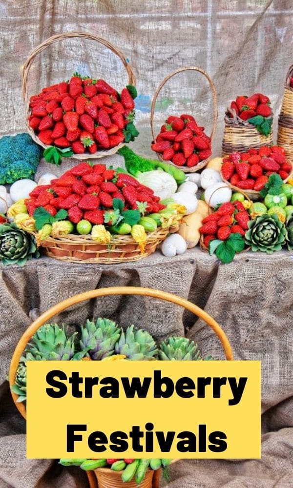 Strawberry Festivals (Huge Listing) – Strawberry Plants