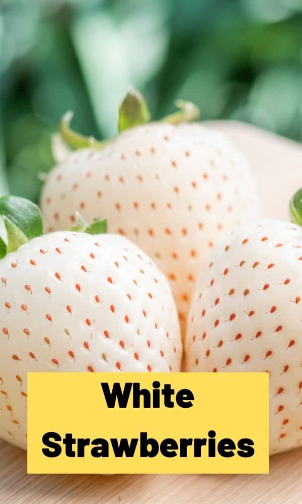 White Strawberries (All You Need to Know)