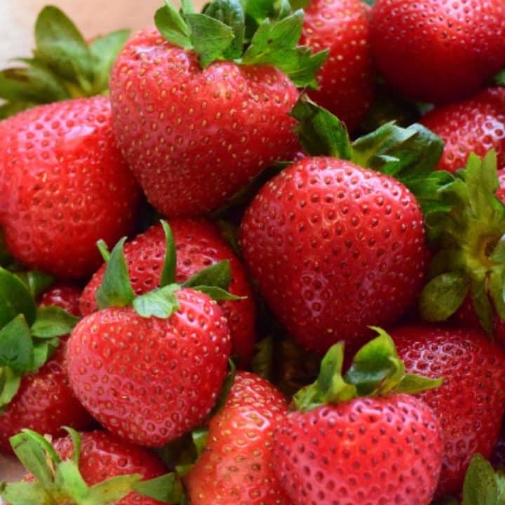 Montana Strawberry Variety Info And Grow Guide – Strawberry Plants