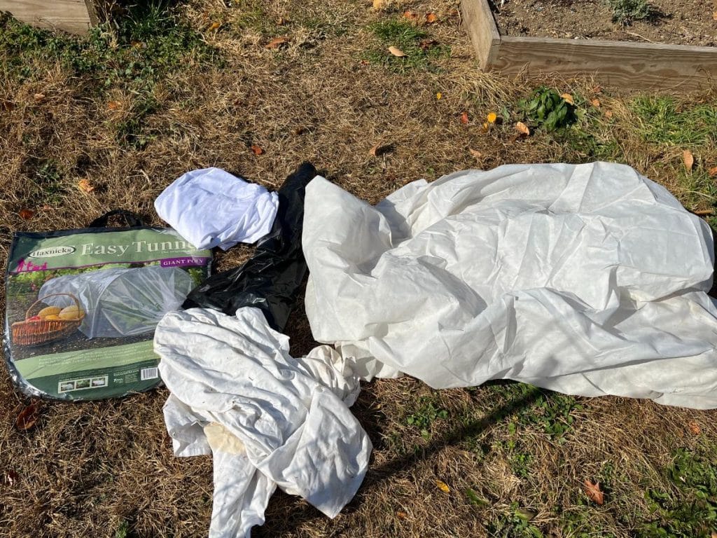 Spring Frost Protection for Strawberry Plants: What Do You Need to Do? When? – Strawberry Plants