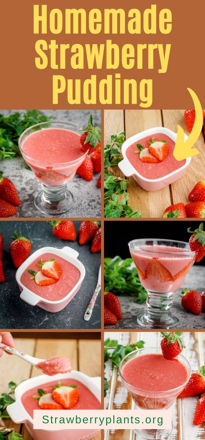 Homemade Strawberry Pudding Recipe – Strawberry Plants