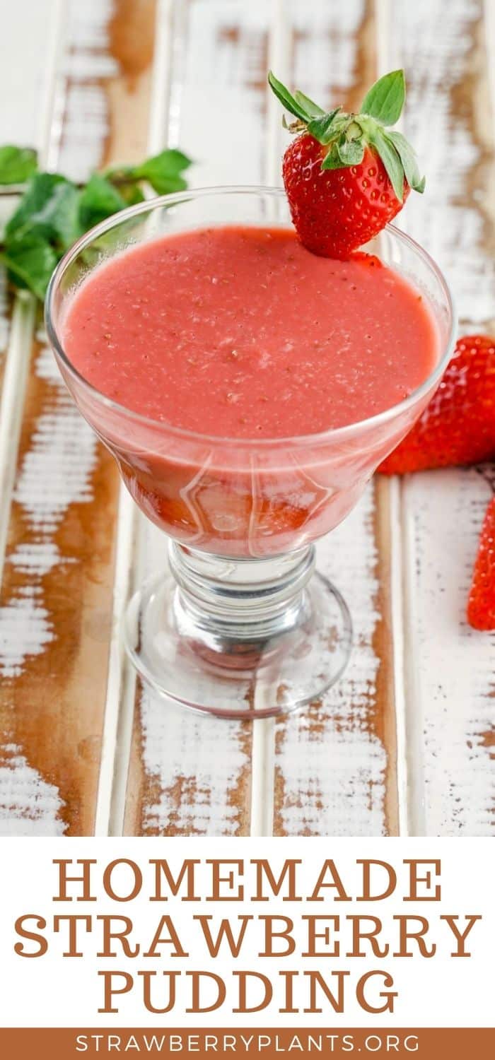 Homemade Strawberry Pudding Recipe – Strawberry Plants