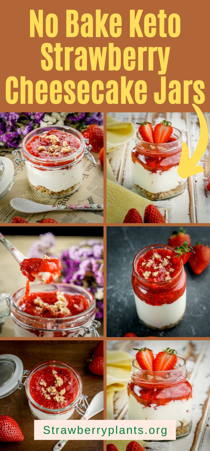 Strawberry Cheesecake Jars No Bake Keto Strawberry Plants