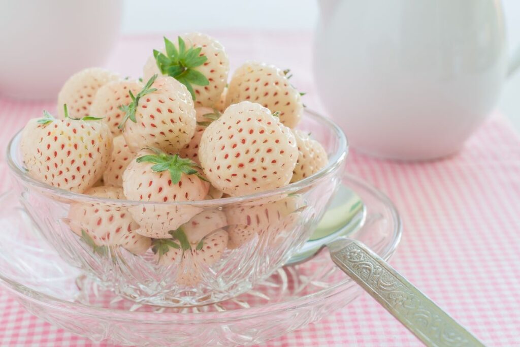 Pineberry & Pineberries (All You Need To Know)