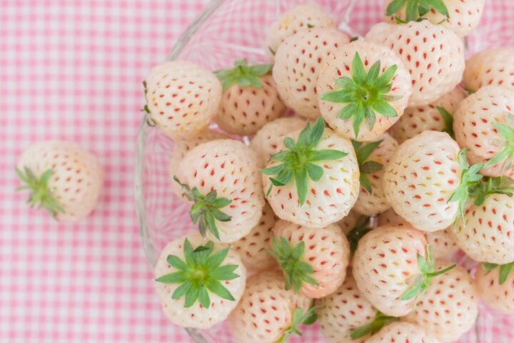 Pineberry & Pineberries (All You Need To Know)