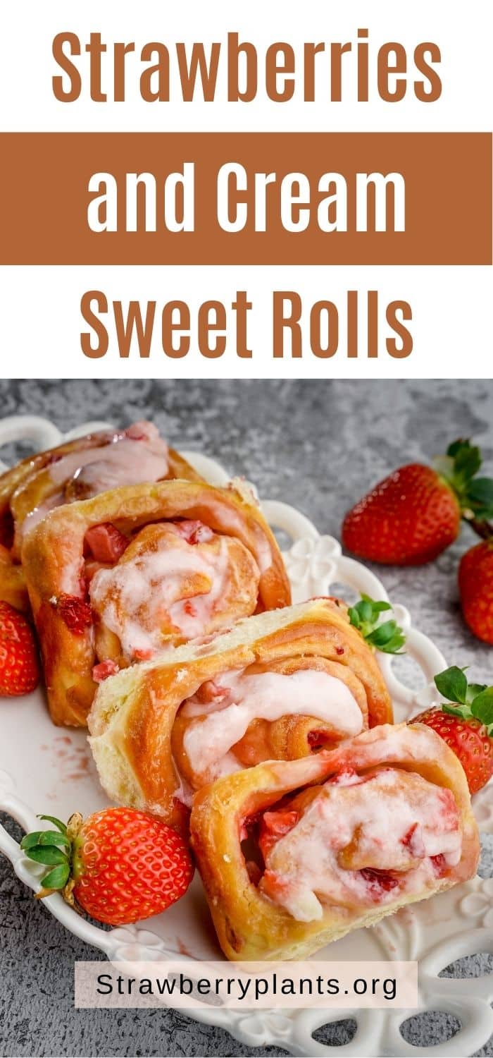 Sweet Strawberry Rolls with Strawberry Frosting – Strawberry Plants