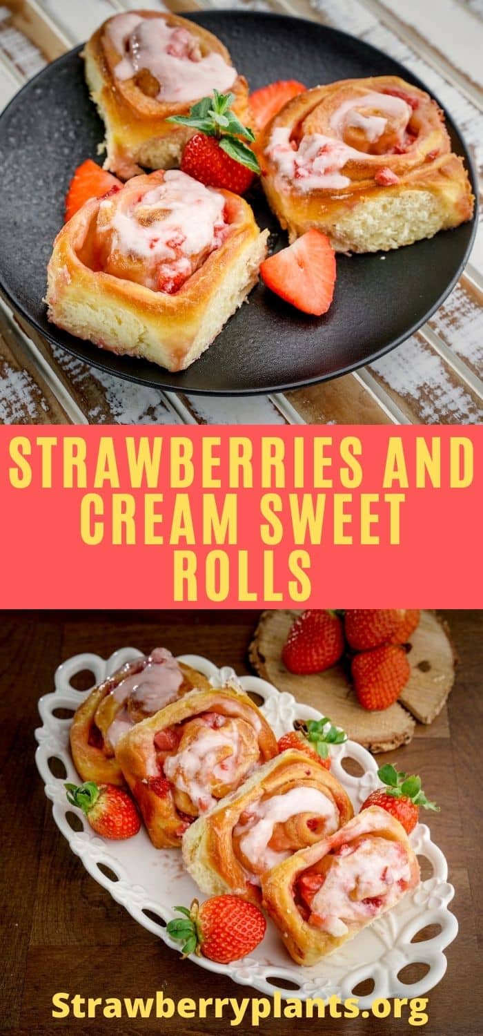 Sweet Strawberry Rolls with Strawberry Frosting – Strawberry Plants