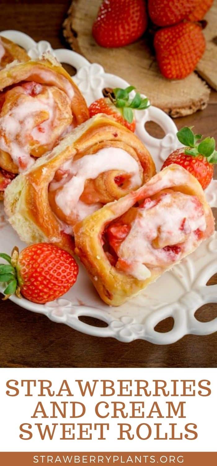 Sweet Strawberry Rolls with Strawberry Frosting – Strawberry Plants