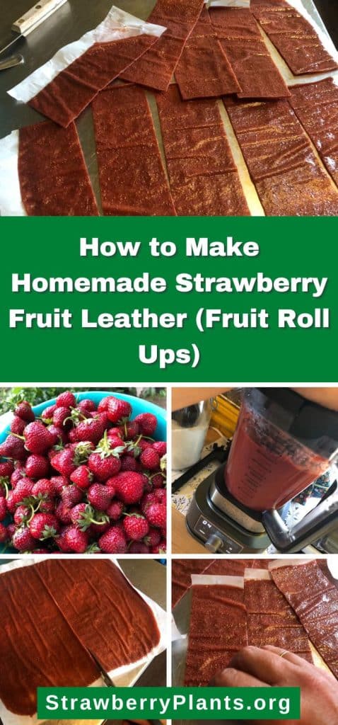 How to Make Homemade Strawberry Fruit Leather (Fruit Roll Ups ...