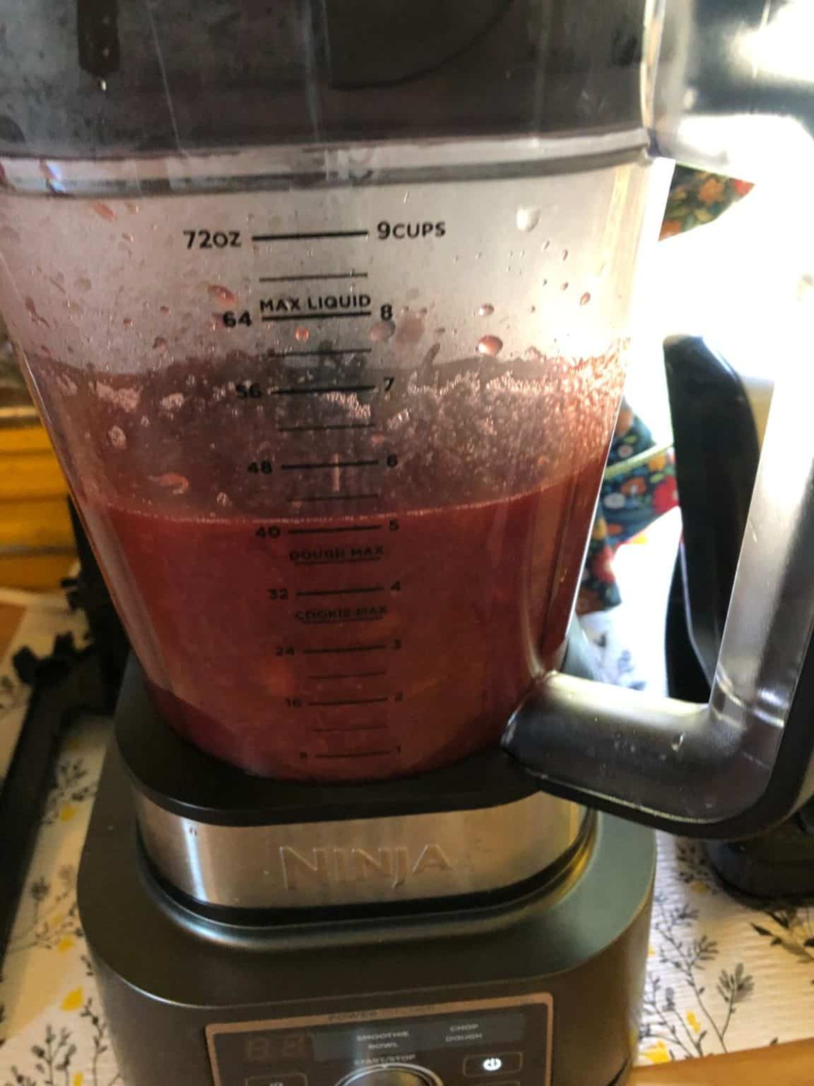 How to Make Homemade Strawberry Fruit Leather (Fruit Roll Ups ...