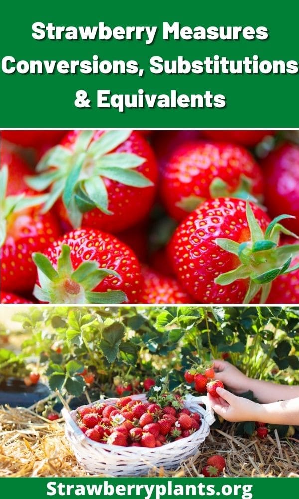 Strawberry Measures Conversions, Substitutions & Equivalents
