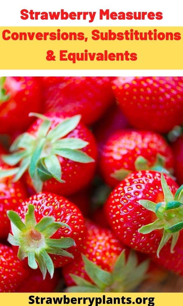 Strawberry Measures Conversions, Substitutions & Equivalents