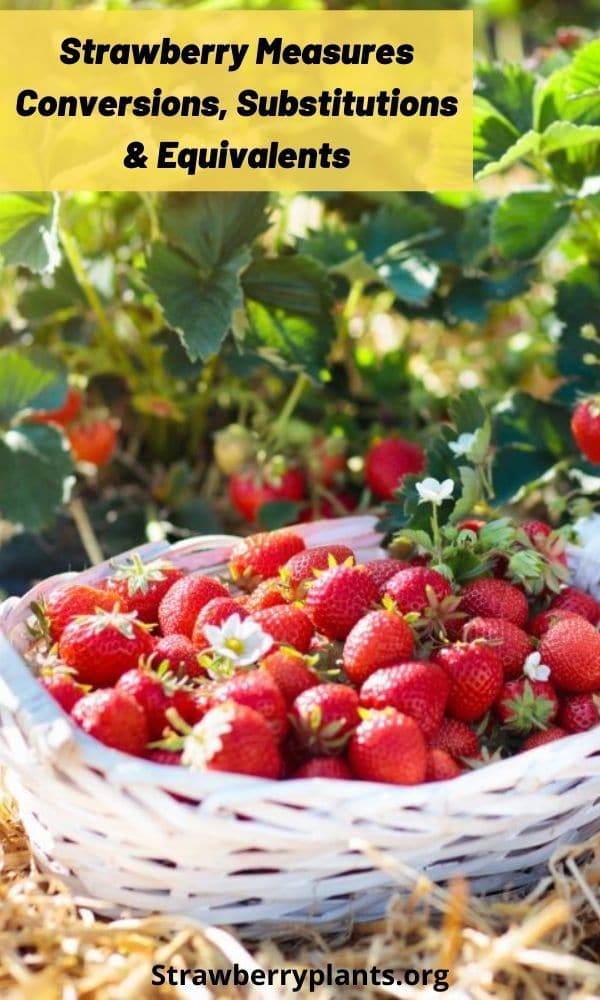 Strawberry Measures Conversions, Substitutions & Equivalents