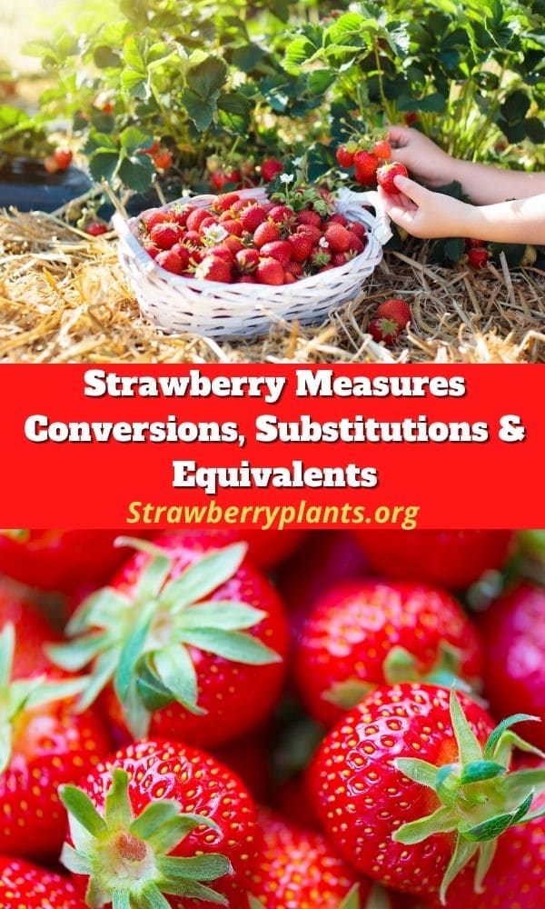 Strawberry Measures Conversions, Substitutions & Equivalents