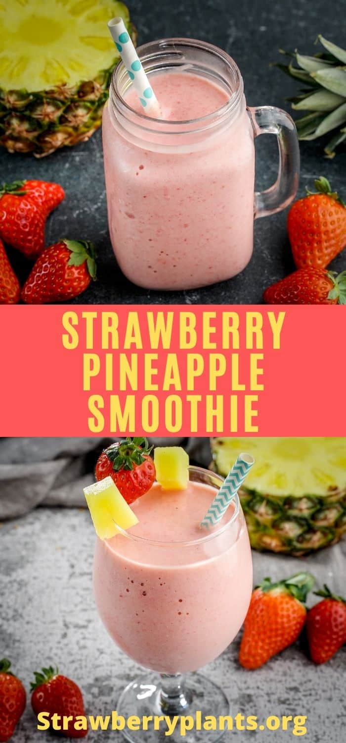 Strawberry Pineapple Smoothie Recipe – Strawberry Plants
