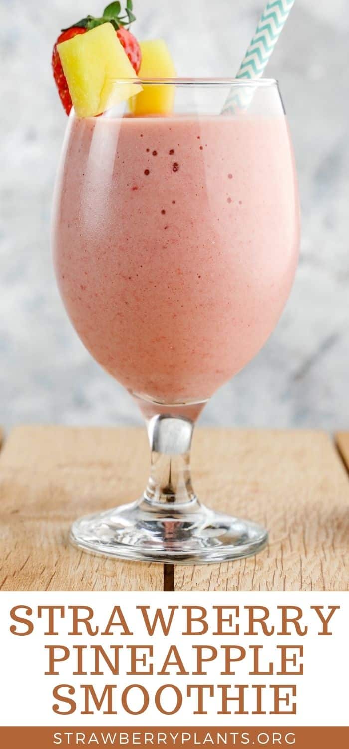 Strawberry Pineapple Smoothie Recipe – Strawberry Plants