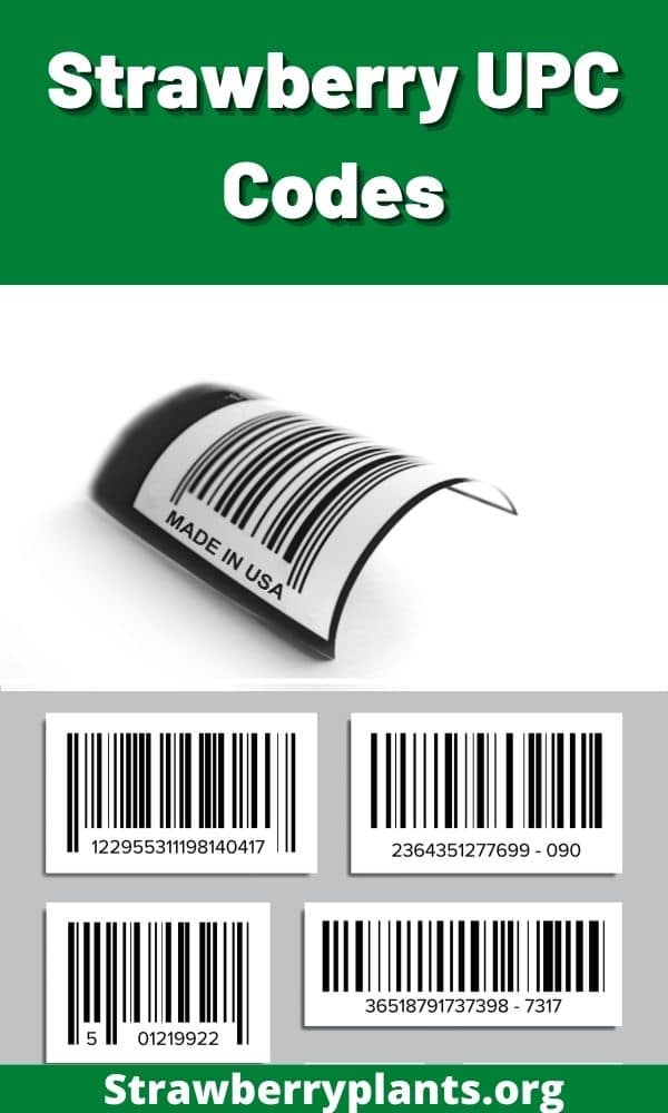 Strawberry UPC Codes – Strawberry Plants