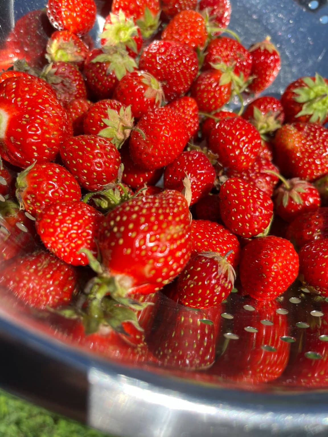 3 Best Ways to Wash Strawberries + When and How To – Strawberry Plants